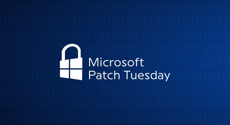 Microsoft Patch Tuesday, Feb 2024 update | SharkStriker - SharkStriker