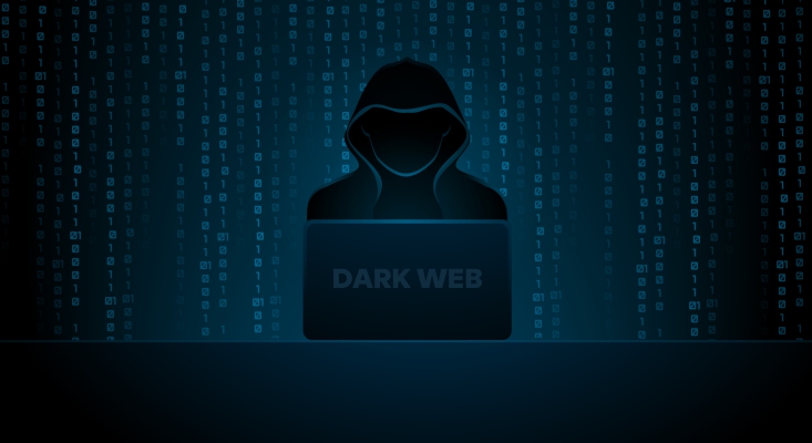 What is the dark web? What are the different kinds of web? - SharkStriker